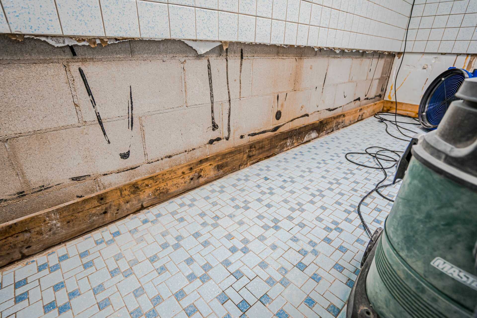 Why Is Immediate Water Removal Crucial Post-Flooding? | HydroDry ...